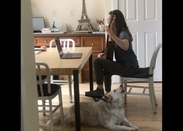Guitar + Dog Duo Returns - Daily Joy
