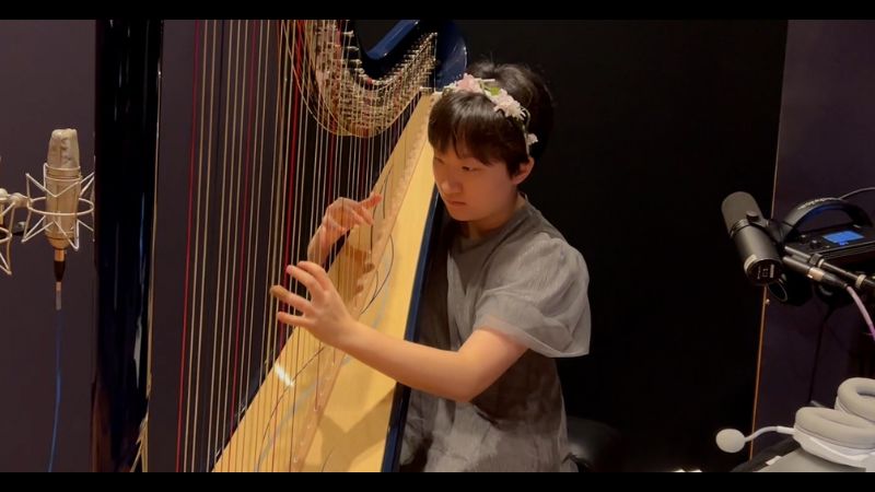 Delightful Harp Performance - Daily Joy