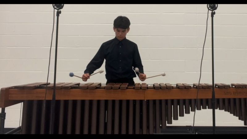 Simple & Cunning Marimba - Daily Joy