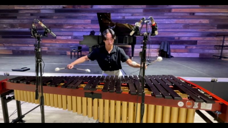 Stunning Marimba - Daily Joy