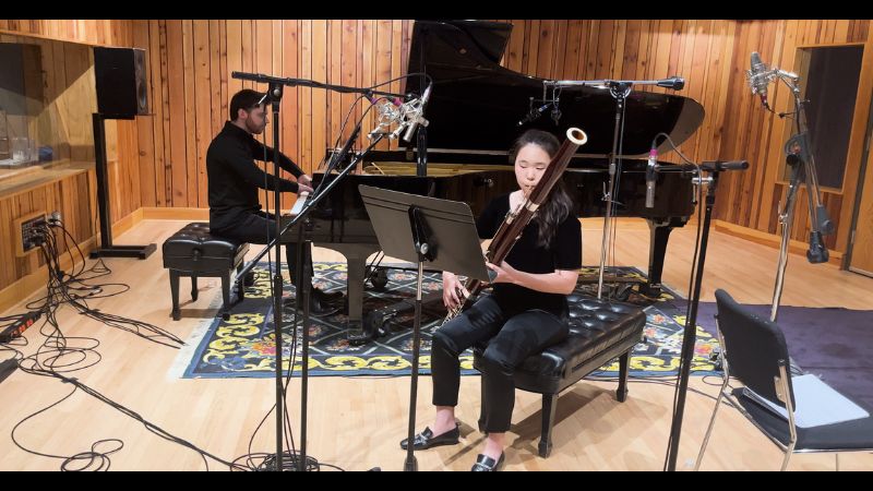 Beautiful Bassoon - Daily Joy