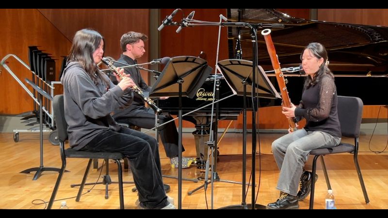 Joyous Trio - Daily Joy