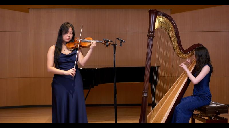 Dreamy Violin and Harp Performance - Daily Joy