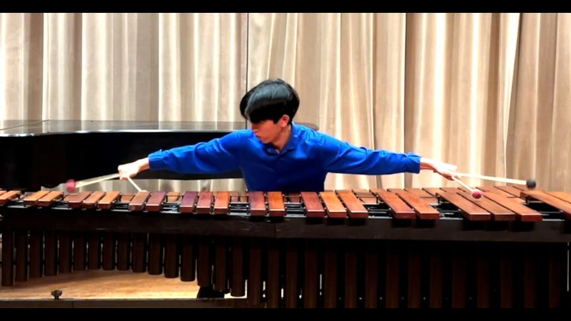 Electrifying Marimba Performance - Daily Joy