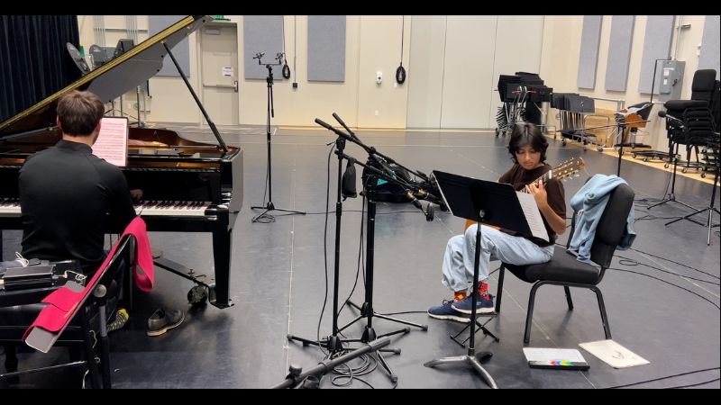 Joyous Guitar Performance - Daily Joy