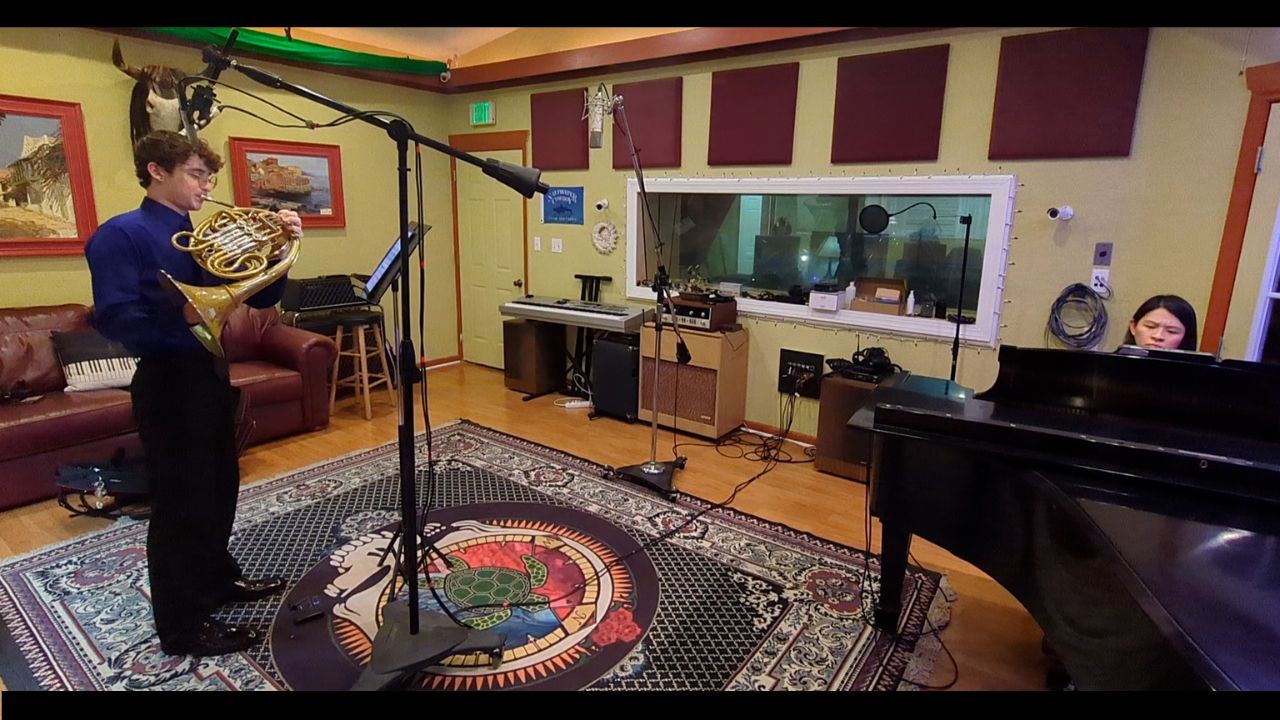 Majestic Strauss - Daily Joy